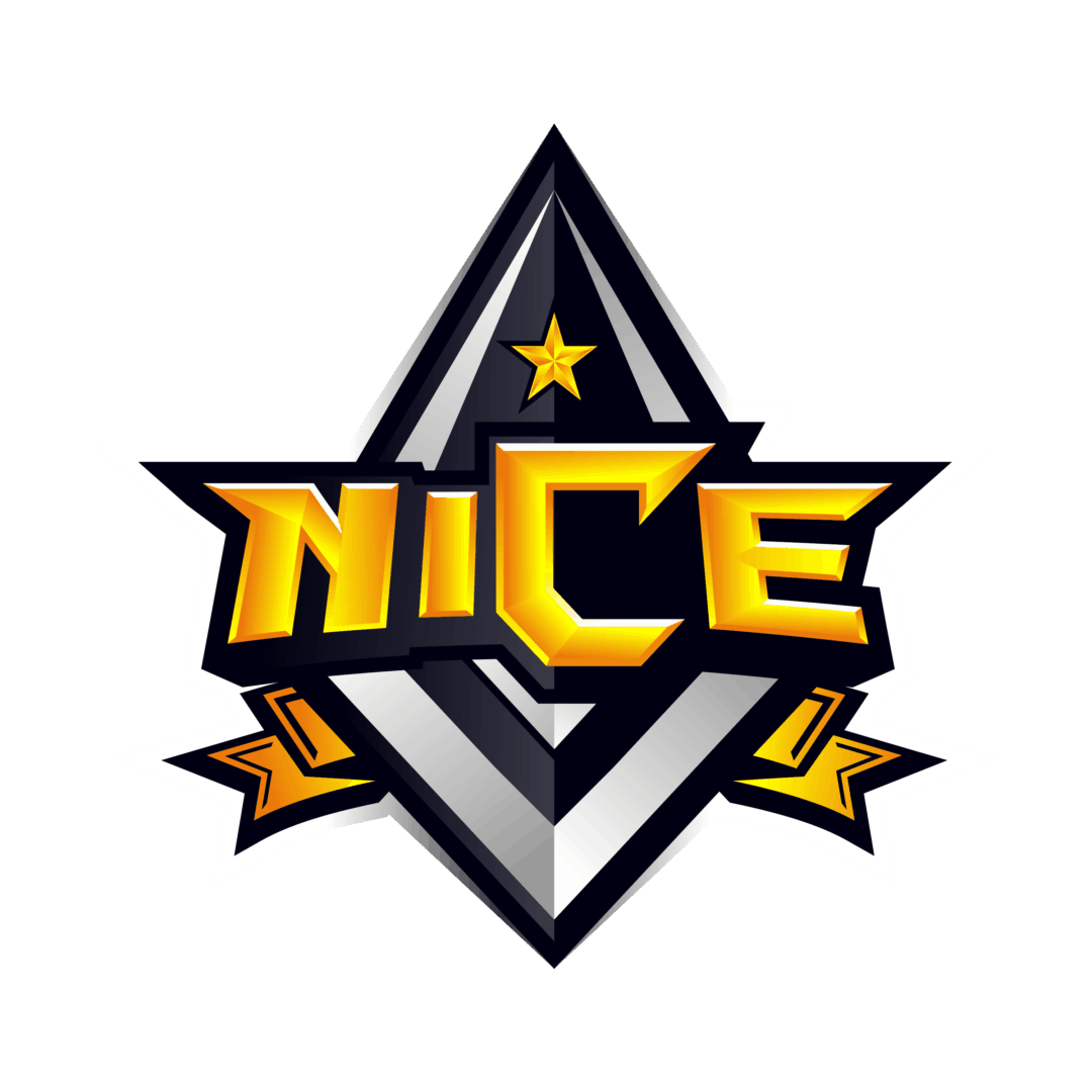 niCe-Team · niCe.team Multigaming e.V.